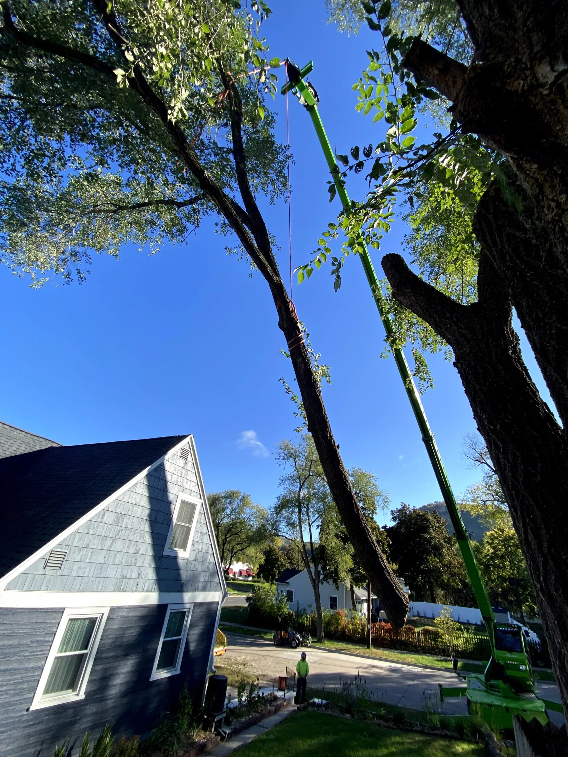 The Benefits of Using a Merlo (Crane) for Tree Removal