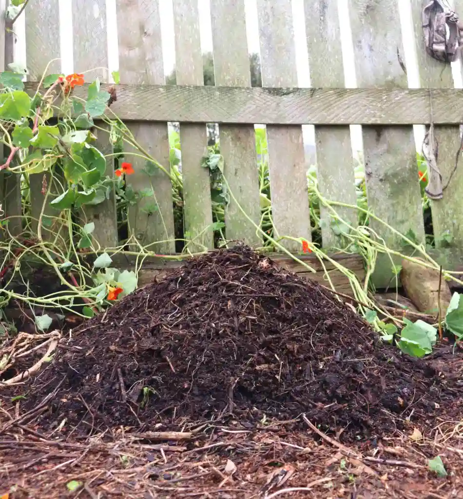 Backyard Composting