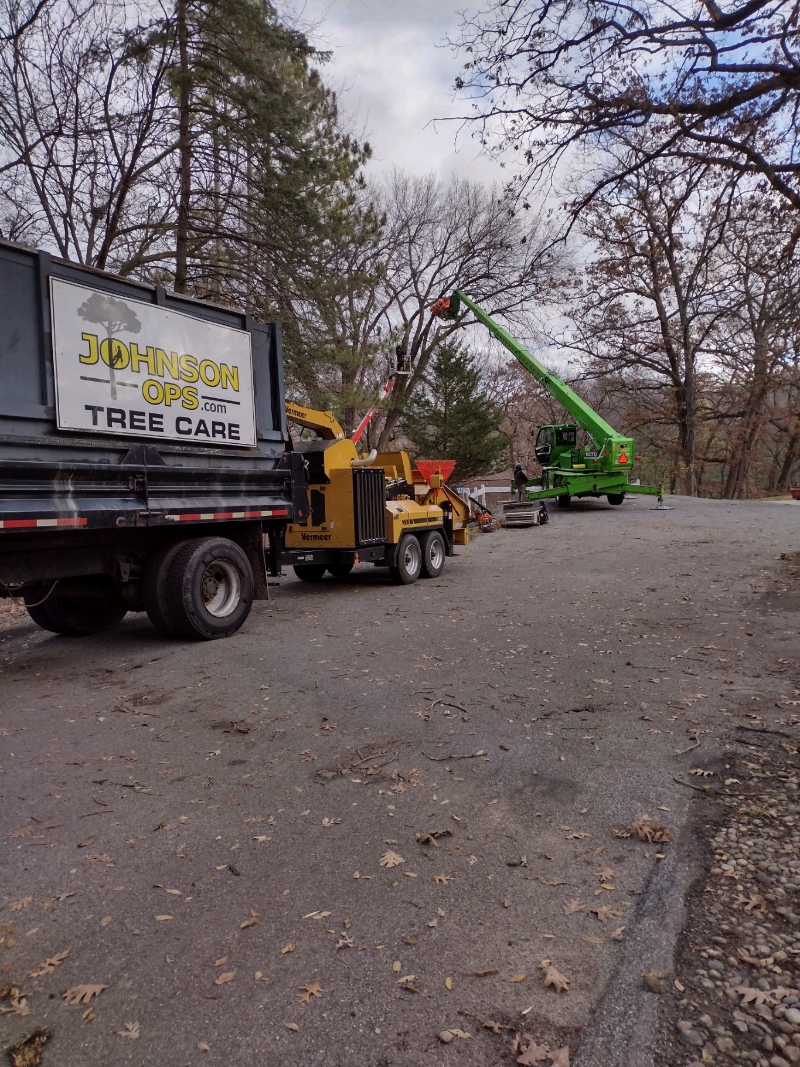 A Day in the Life of a Tree Care Professional - Johnson Ops Tree Care